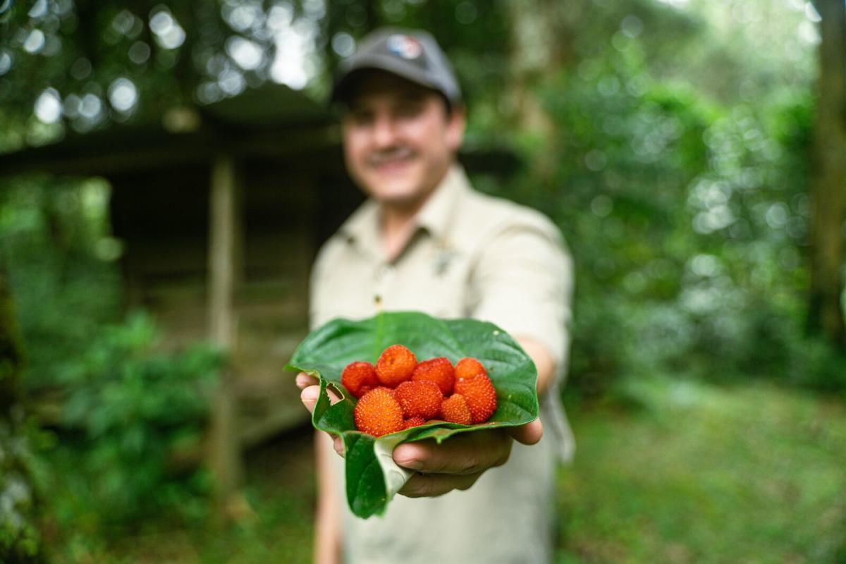 Discover Panama’s Migration Hotspots and Tropical Harvests - Panama Trails